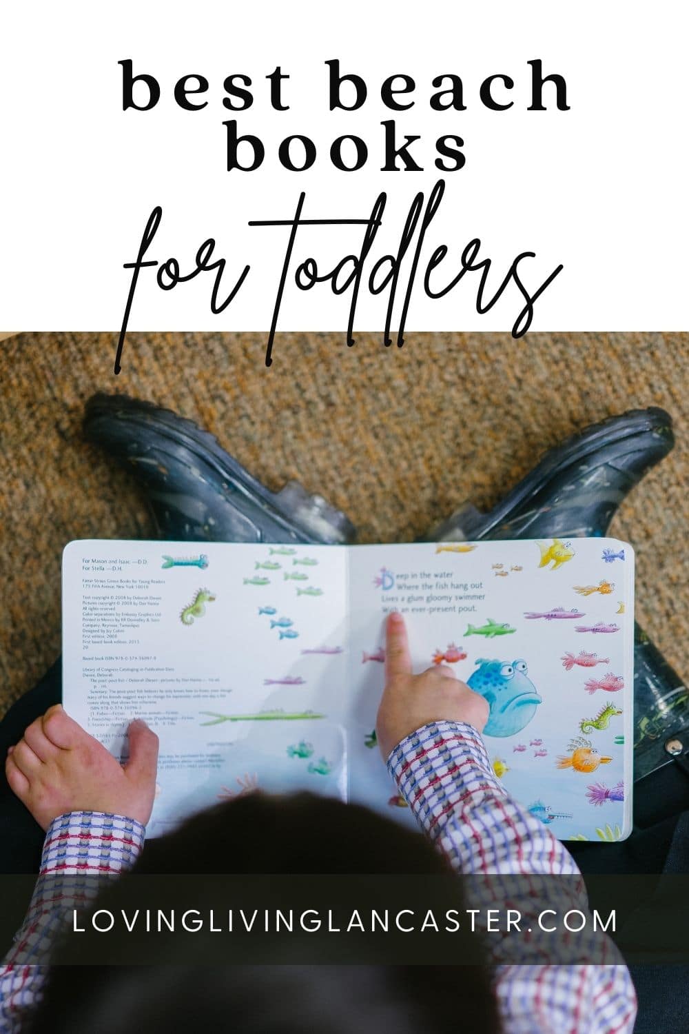 Best Beach Books For Toddlers