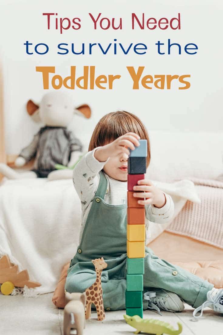 5 Tips for Parenting a Toddler