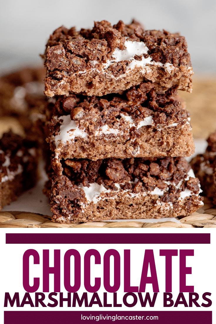 Chocolate Marshmallow Bars