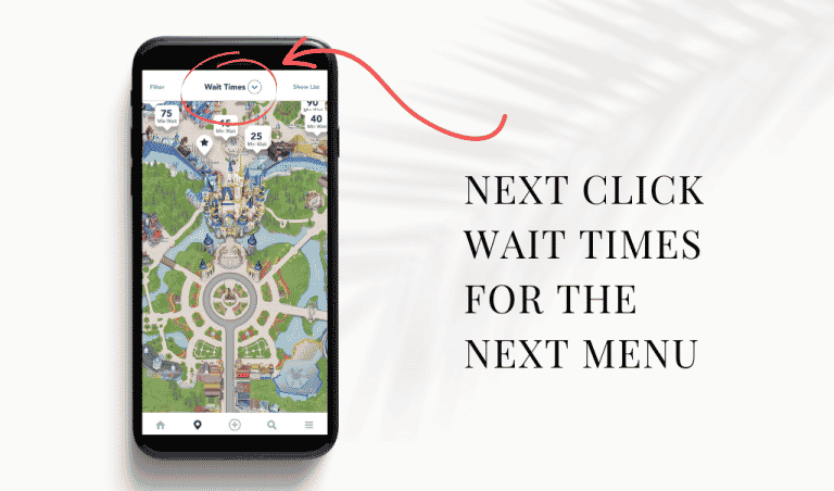 How and Where to Find Characters at Disney World