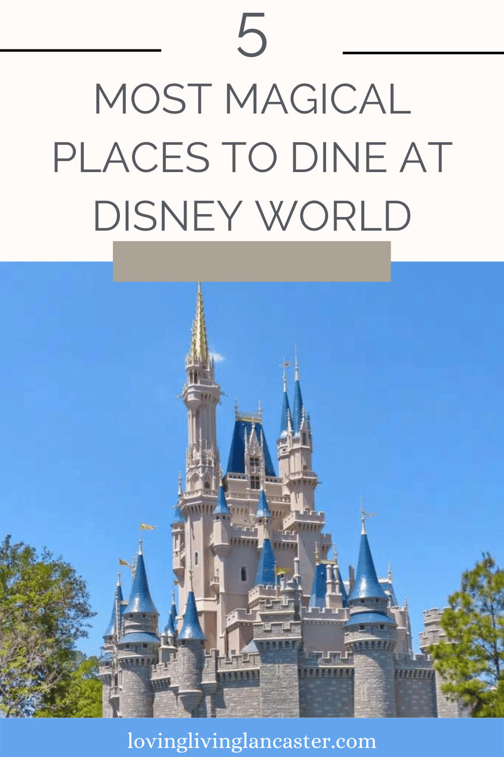 Magical Disney Dining You Must Not Miss at Disney World